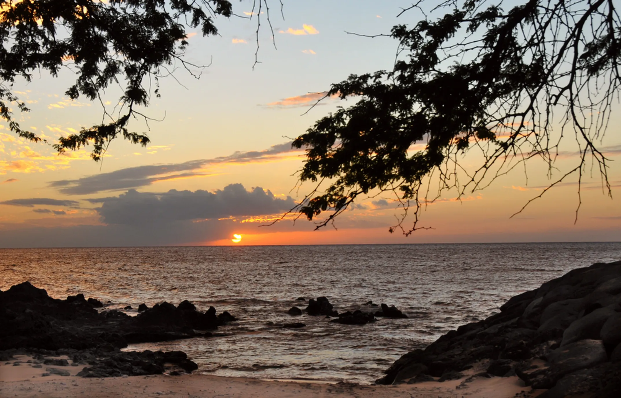 Kihei Activities: Surfing, Whale Watching, Water Sports & More | Things ...